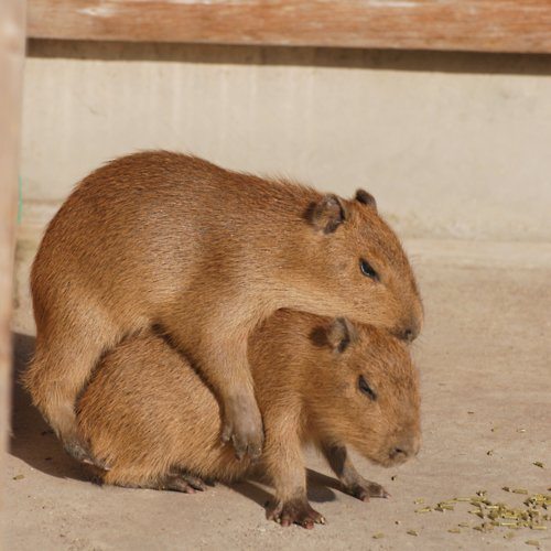 DeadFix » 2011 » January