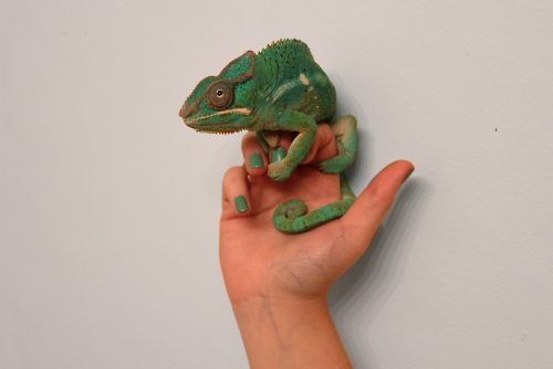 DeadFix » 2012 » June » 15