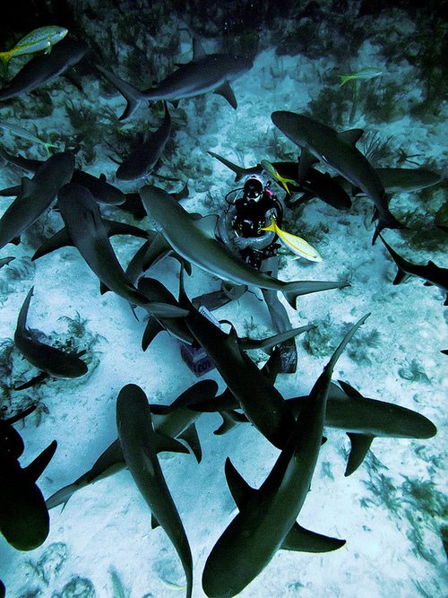 DeadFix » 2012 » July » 19