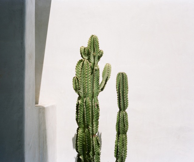 DeadFix » 2017 » February » 04